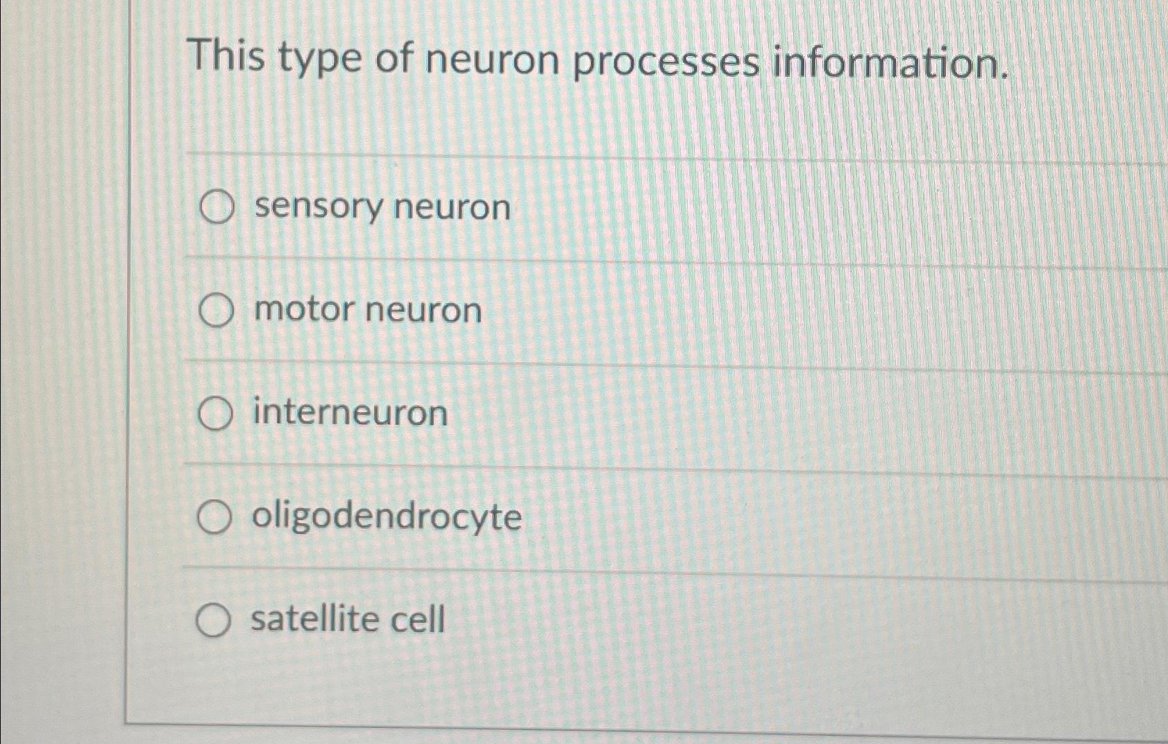 Solved This type of neuron processes information.sensory | Chegg.com