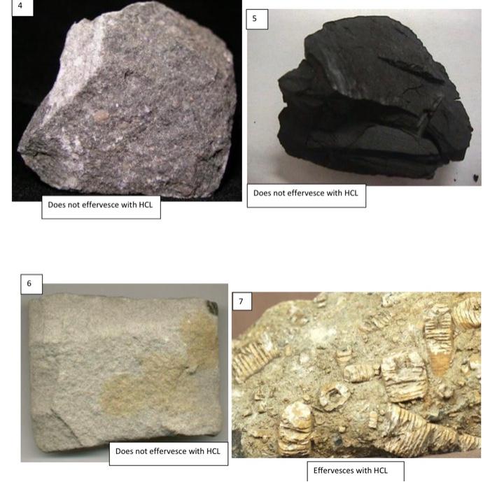 Solved Sedimentary Rock Identification KEY Clastic | Chegg.com