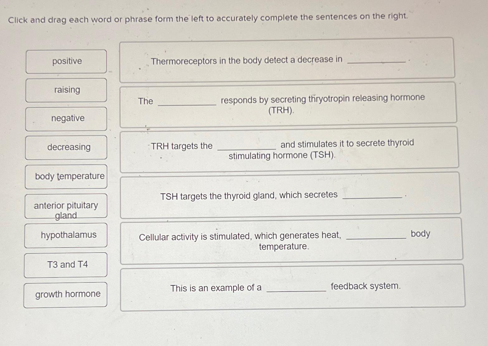 Solved Click and drag each word or phrase form the left to | Chegg.com