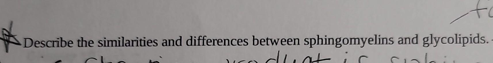 Solved Describe the similarities and differences between | Chegg.com
