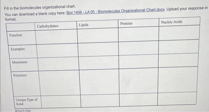 Solved Fill in the biomolecules organizational chart. You | Chegg.com