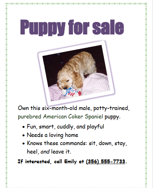 Solved by an EXPERT Creating a Flyer with a PictureProblem: Your friend ...