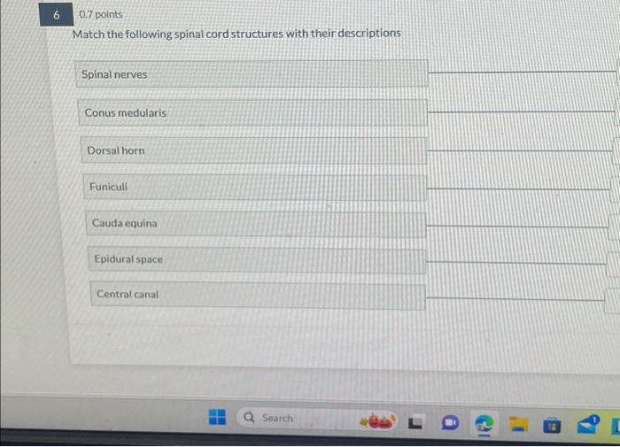 6 0.7 points Match the following spinal cord | Chegg.com
