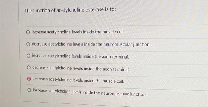 Solved The function of acetylcholine esterase is to: O | Chegg.com