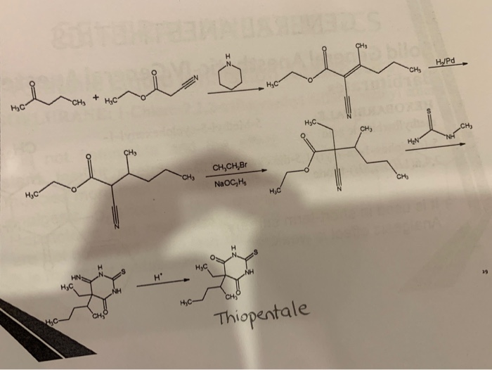Solved 3. Write the synthesis of thiopentale (by describing | Chegg.com