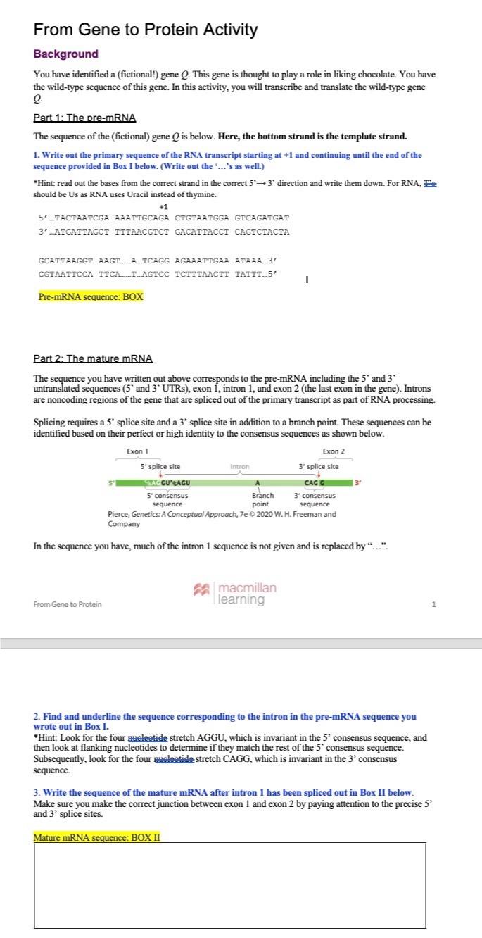 Solved From Gene to Protein ActivityBackgroundYou have | Chegg.com