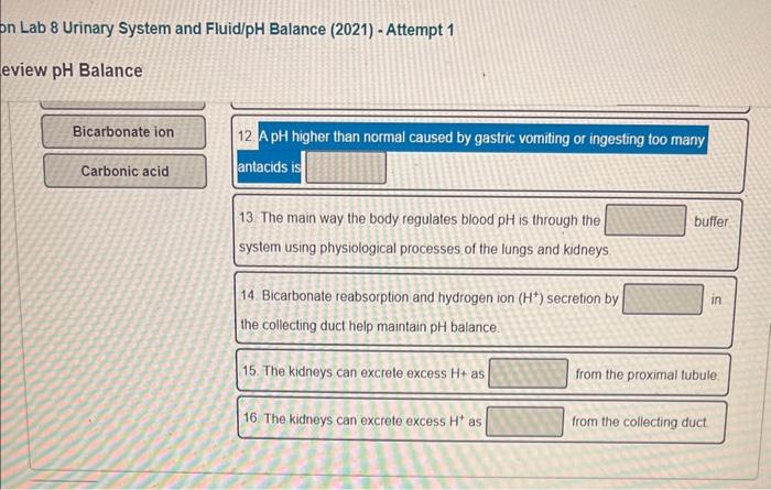 Solved b 8 Urinary System and Fluid/pH Balance (2021) - | Chegg.com