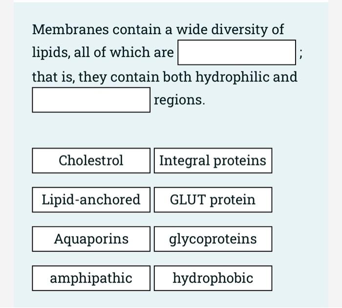 Solved Membranes contain a wide diversity of lipids, all of | Chegg.com