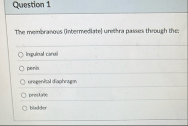 Question 1The membranous (intermediate) ﻿urethra | Chegg.com