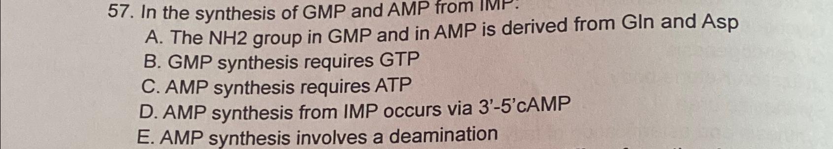 Solved In the synthesis of GMP and AMP from IMIP.A. ﻿The NH2 | Chegg.com