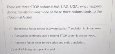 Solved There are three STOP codons (UAA, ﻿UAG, UGA), ﻿what | Chegg.com