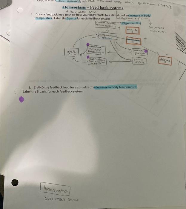 Solved 1. Draw a feedback loop to show how your body reacts | Chegg.com