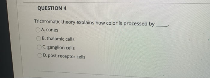 Solved QUESTION 4 Trichromatic theory explains how color is | Chegg.com