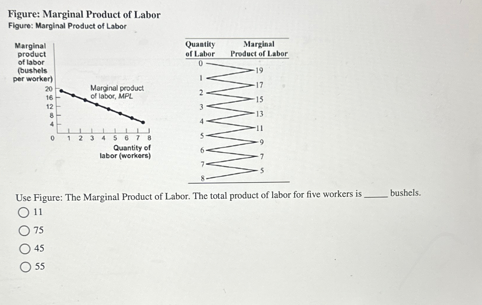 Solved Figure: Marginal Product of LaborFigure: Marginal | Chegg.com