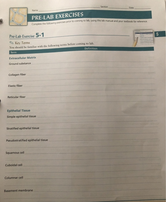 Solved Section Date Name PRE-LAB EXERCISES Complete the | Chegg.com