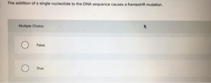 Solved The addition of a single nucleotide to the DNA | Chegg.com