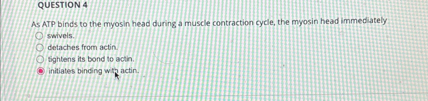 Solved QUESTION 4As ATP binds to the myosin head during a | Chegg.com