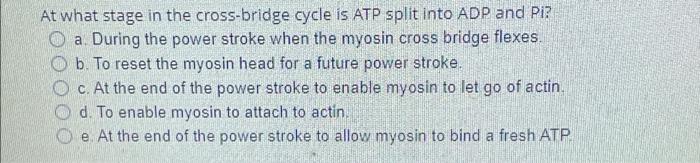 Solved At what stage in the cross-bridge cycle is ATP split | Chegg.com