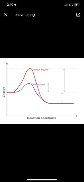 Solved The graph of enzyme catalyzed reaction shows a lower | Chegg.com
