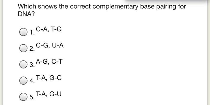Solved Which shows the correct complementary base pairing | Chegg.com