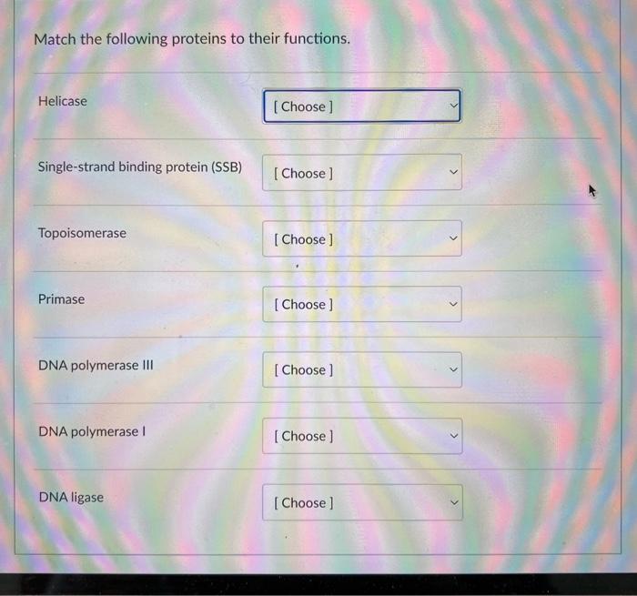 Solved Match the following question and answer responses. | Chegg.com