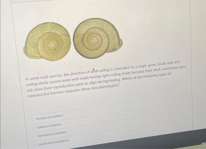 Solved In some snail species, the direction of shell coiling | Chegg.com