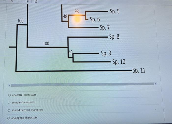 Solved Dichotomous Key to species in the family Candiaceae | Chegg.com