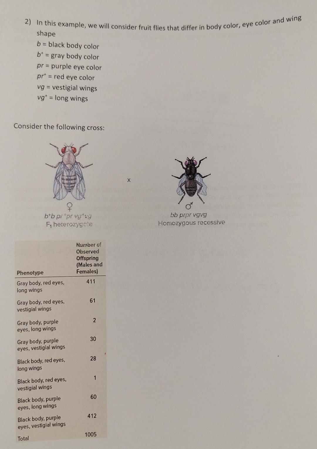 Solved 2 In This Example We Will Consider Fruit Flies That 4365
