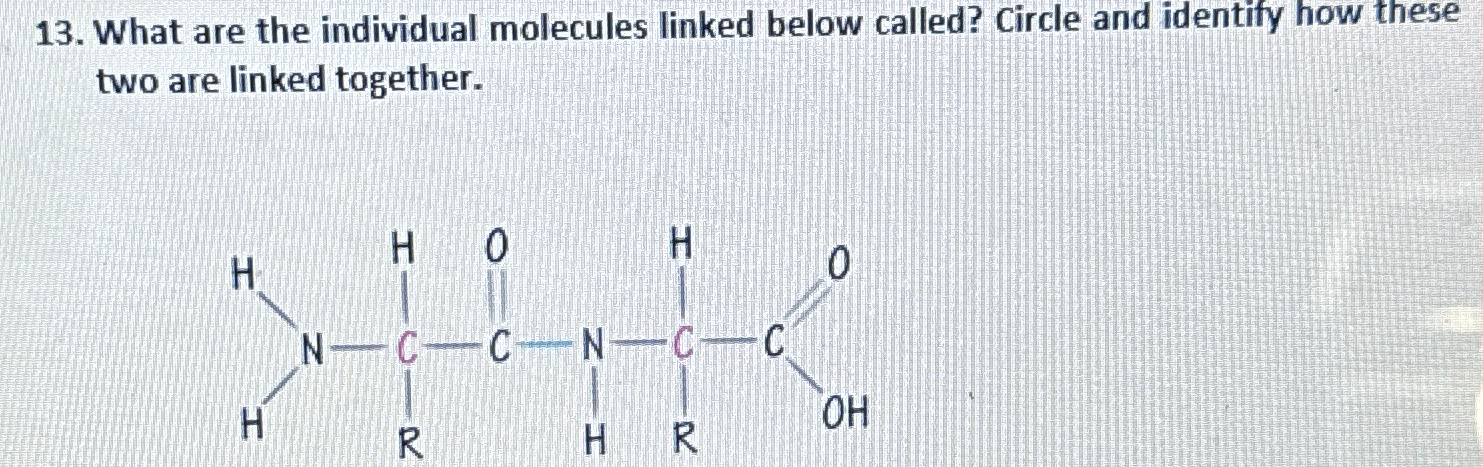 Solved What are the individual molecules linked below | Chegg.com