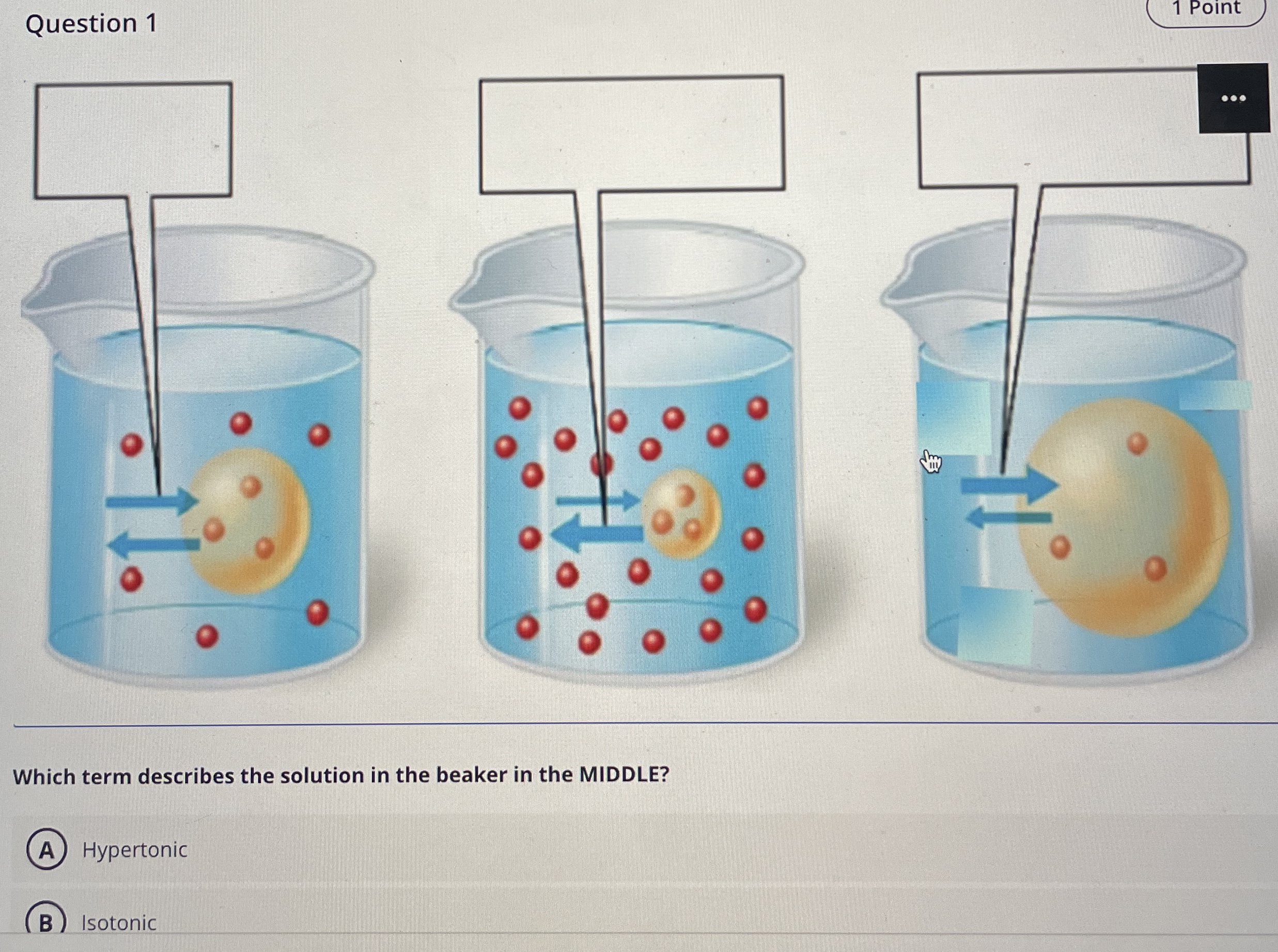 Solved Question 11 PointWhich term describes the solution | Chegg.com Solved Question 11 PointWhich term describes the solution | Chegg.com