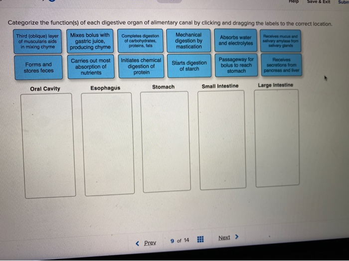 Solved Help Save And Exit Subm Categorize The Functions Of 9631