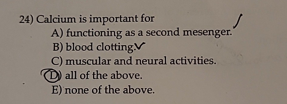 Solved Calcium is important forA) ﻿functioning as a second | Chegg.com