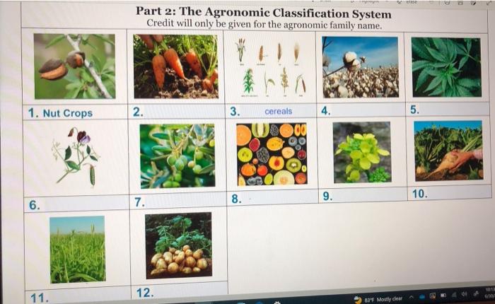 Solved 1. Nut Crops 6. 11. Part 2: The Agronomic | Chegg.com