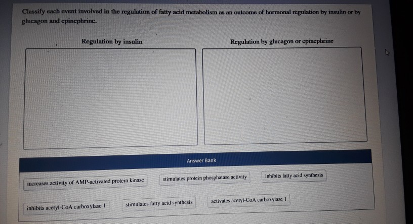 Solved Classify each event involved in the regulation of | Chegg.com