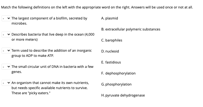Solved Match the following definitions on the left with the | Chegg.com