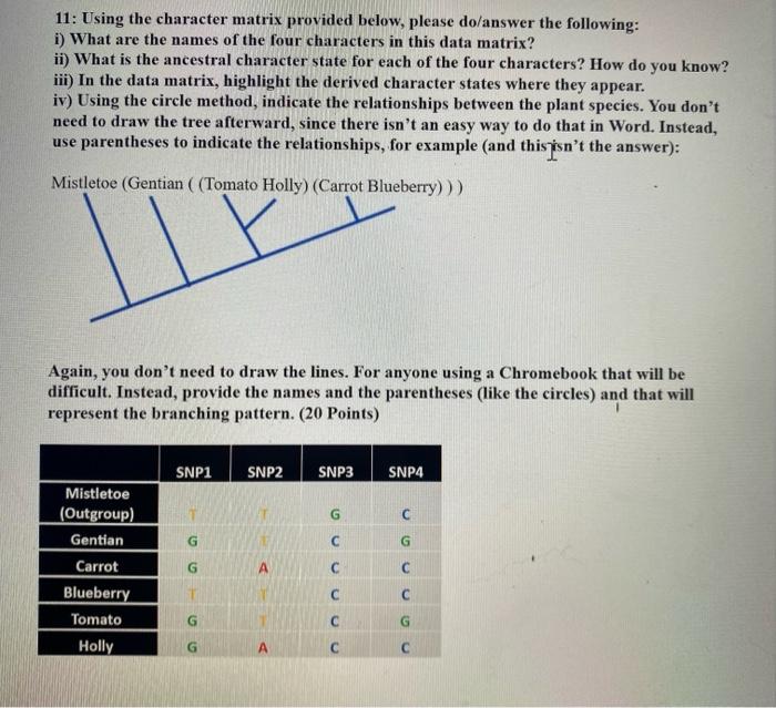 Solved 11: Using the character matrix provided below, please | Chegg.com