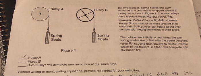 Solved Pulley A (a) Two identical spring scales are each | Chegg.com