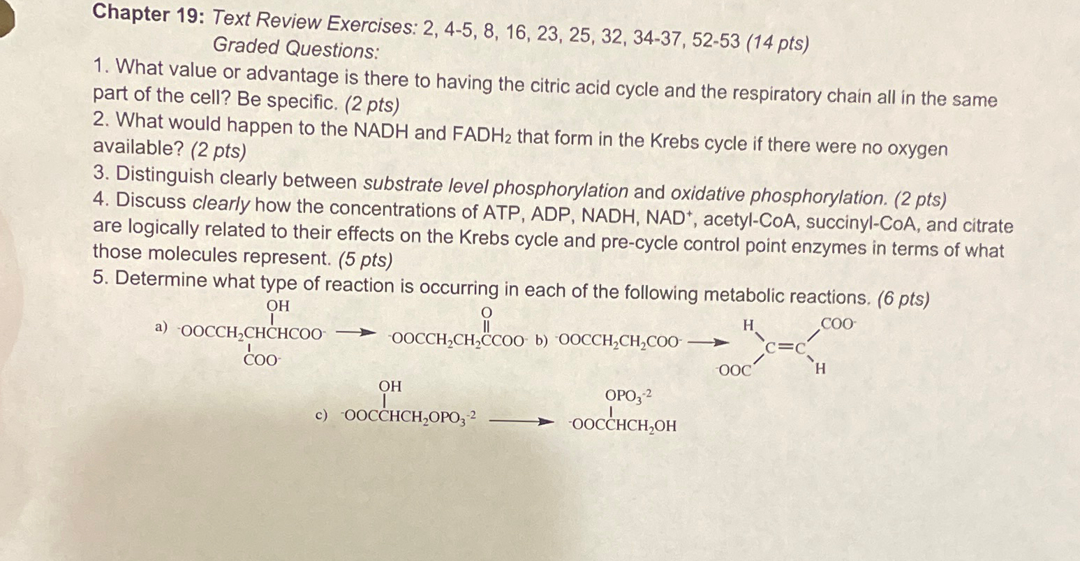 Solved Chapter 19: Text Review Exercises:Graded | Chegg.com