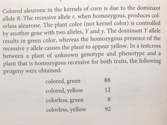 Solved Colored aleurone in the kernels of corn is due to the | Chegg.com