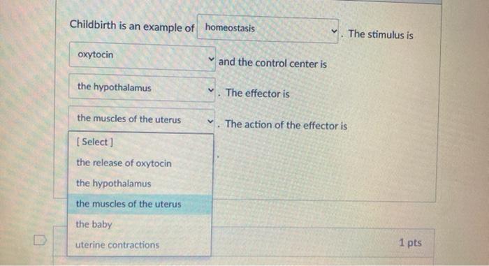 Solved 1 pts Childbirth is an example of homeostasis The | Chegg.com