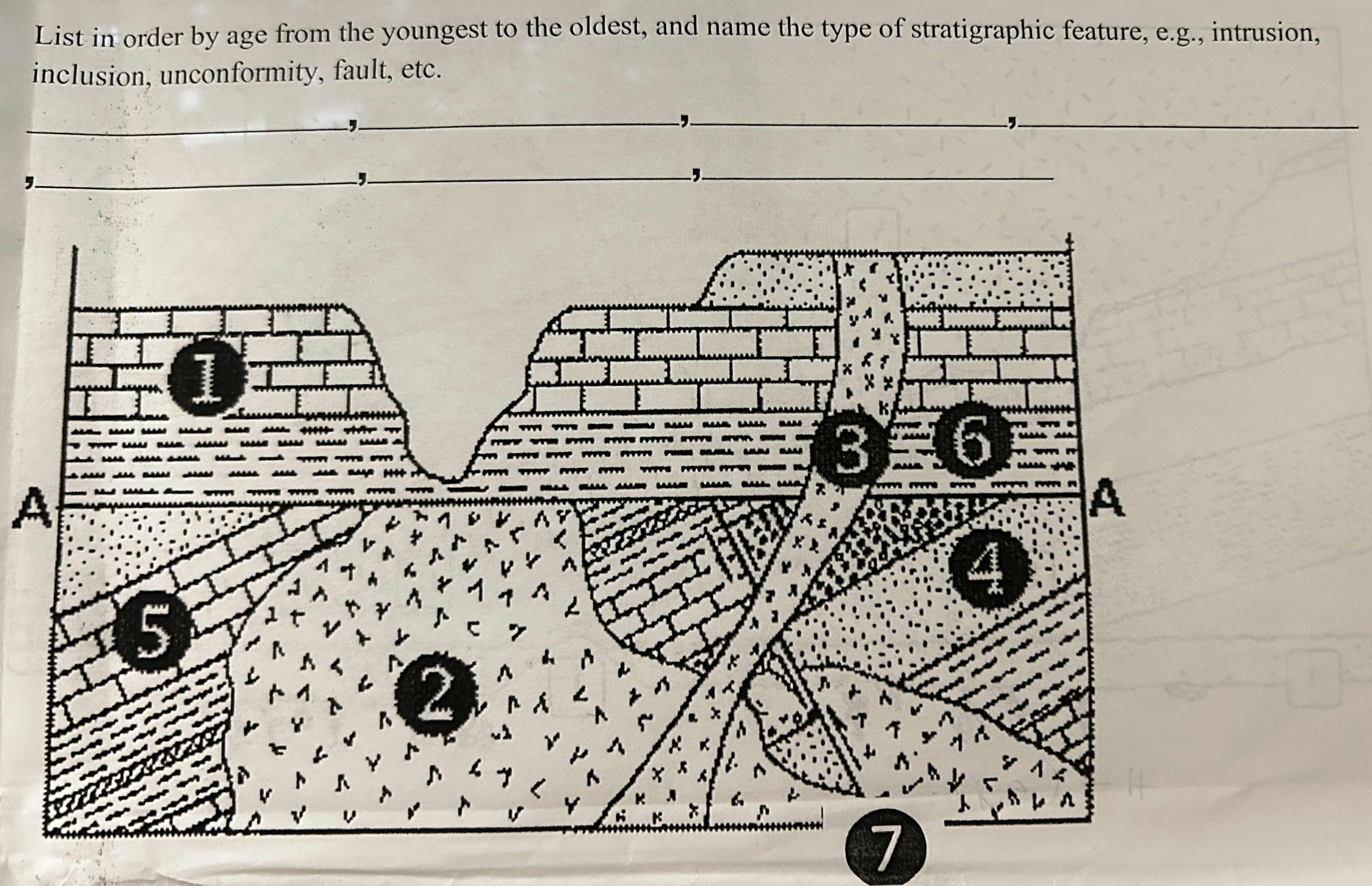 List in order by age from the youngest to the oldest, | Chegg.com