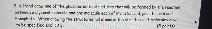 Solved 2. a. Hand draw one of the phosphatidate structures | Chegg.com