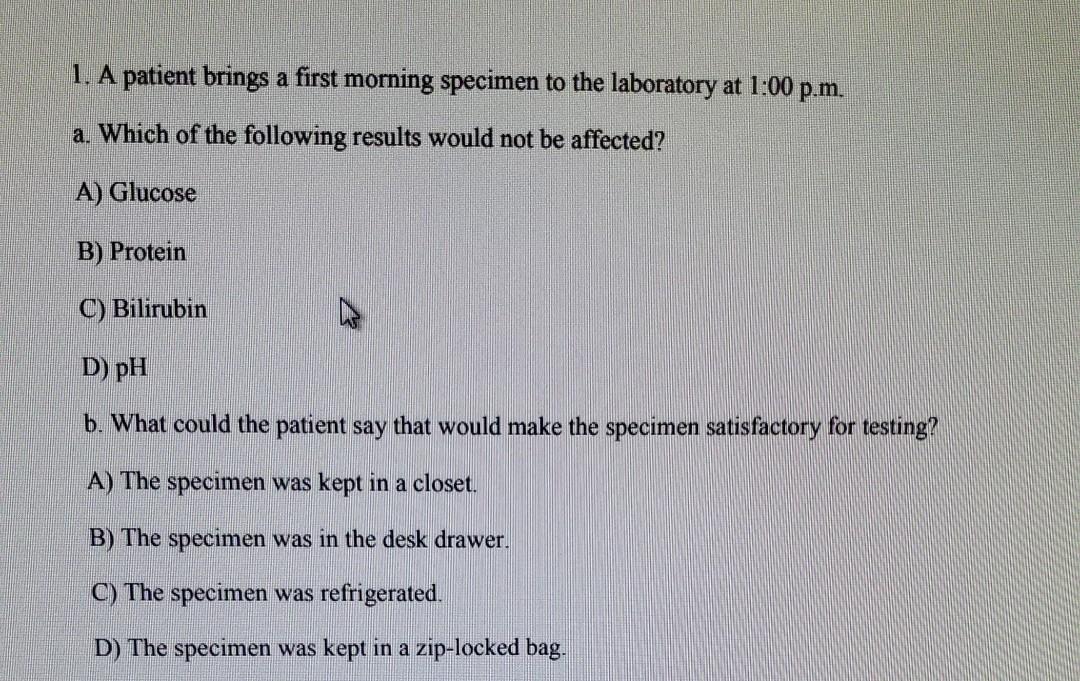 Solved 1. A patient brings a first morning specimen to the | Chegg.com