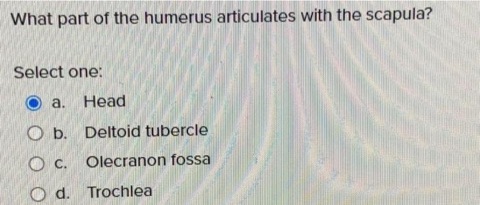 Solved What is the name of the shallow depression of the | Chegg.com