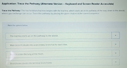 Solved Application: Trace the Pathway (Alternate Version - | Chegg.com