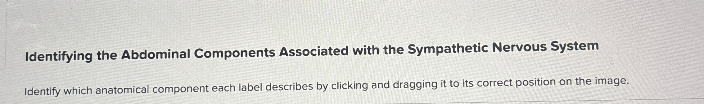Solved Identifying the Abdominal Components Associated with | Chegg.com