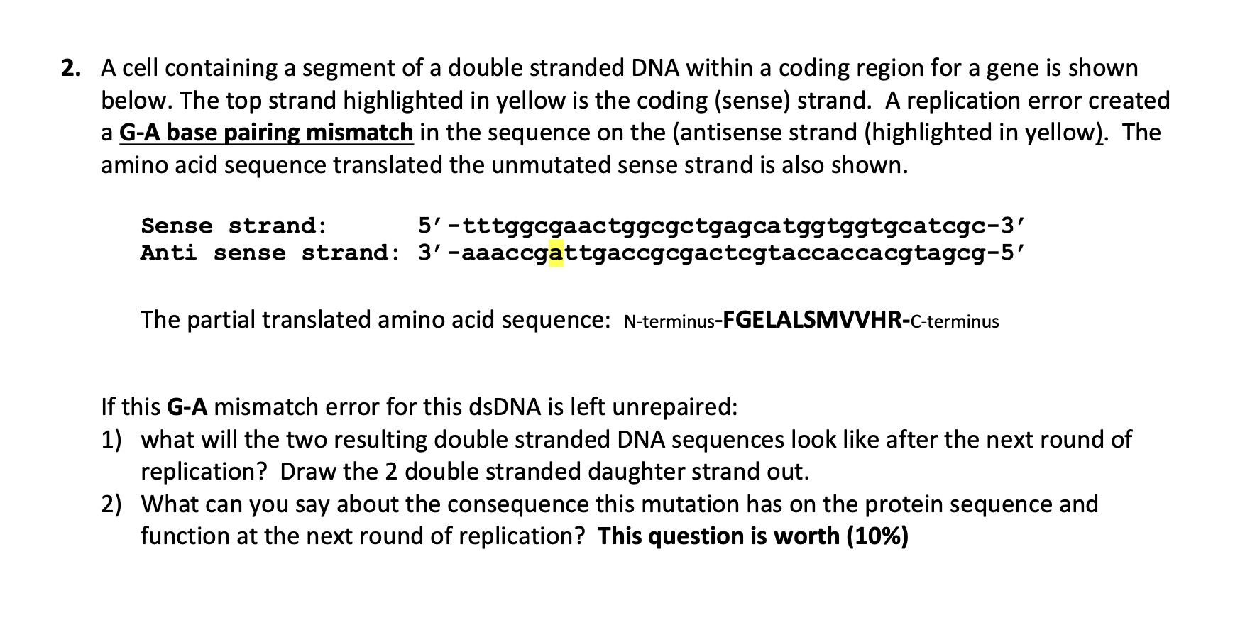 Solved A cell containing a segment of a double stranded DNA | Chegg.com