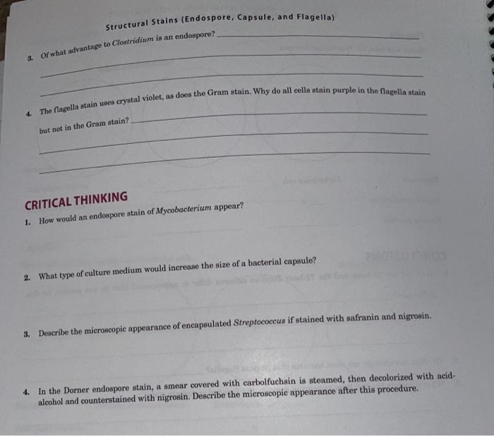 Solved Name: Date: Lab Section LABORATORY REPORT Structural | Chegg.com