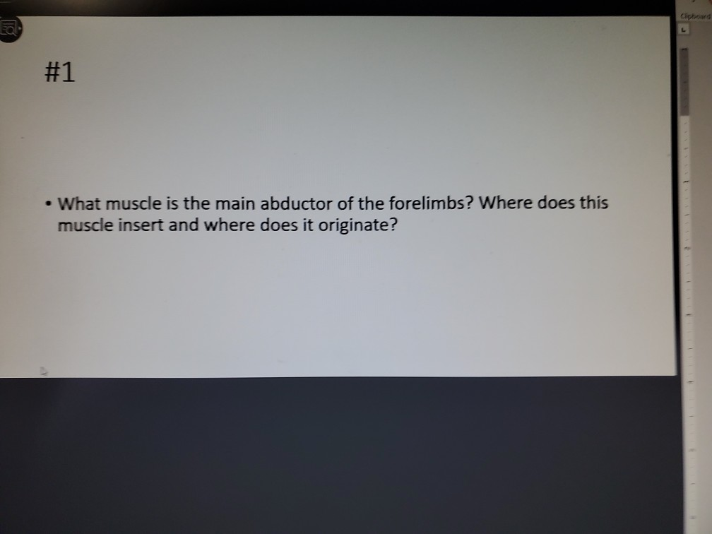 Solved Clipboard • What muscle is the main abductor of the | Chegg.com