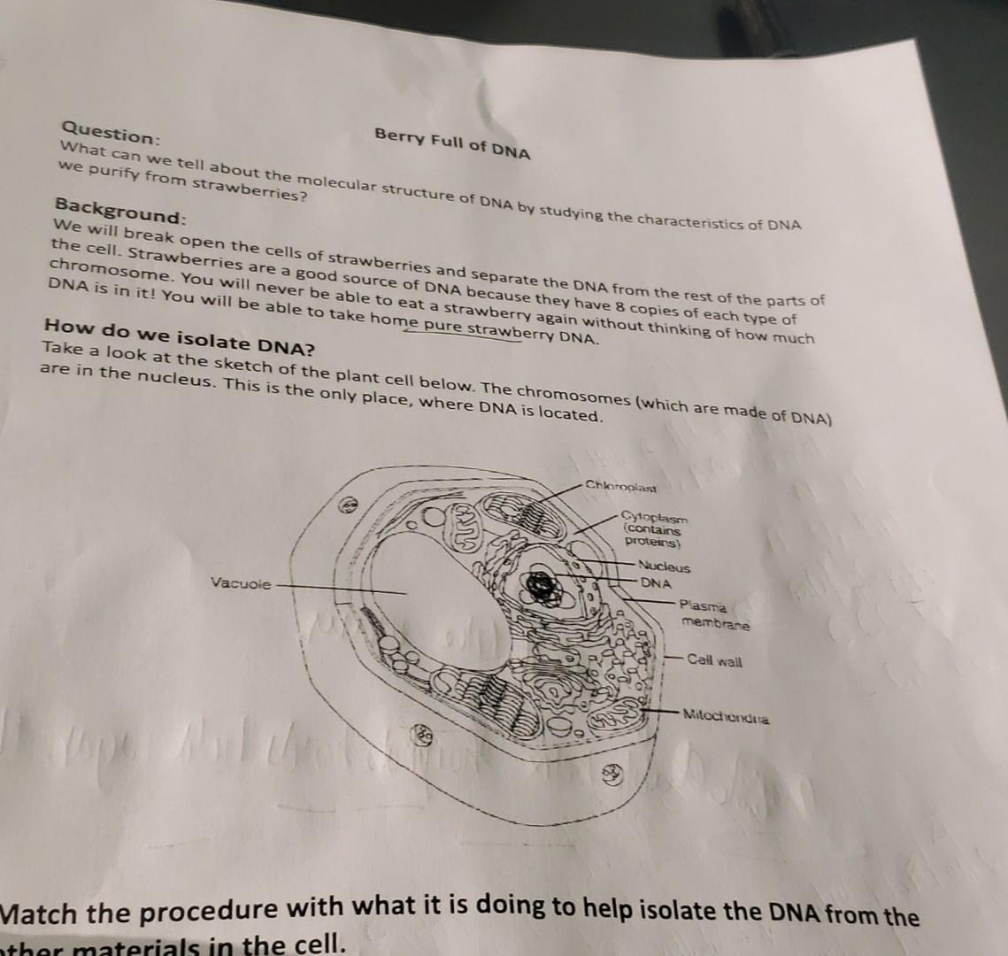 Solved Match the procedure with what it is doing to help | Chegg.com
